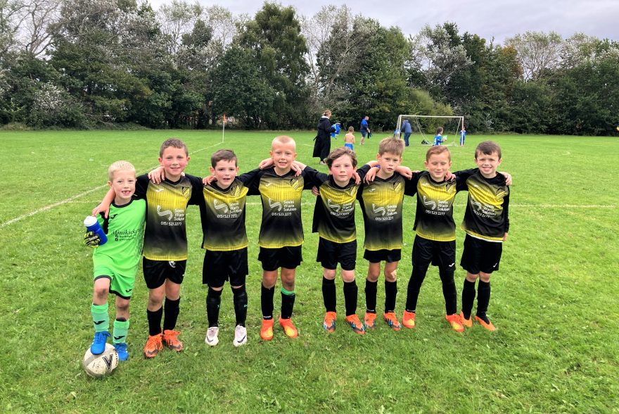 Home - The Sovini Group