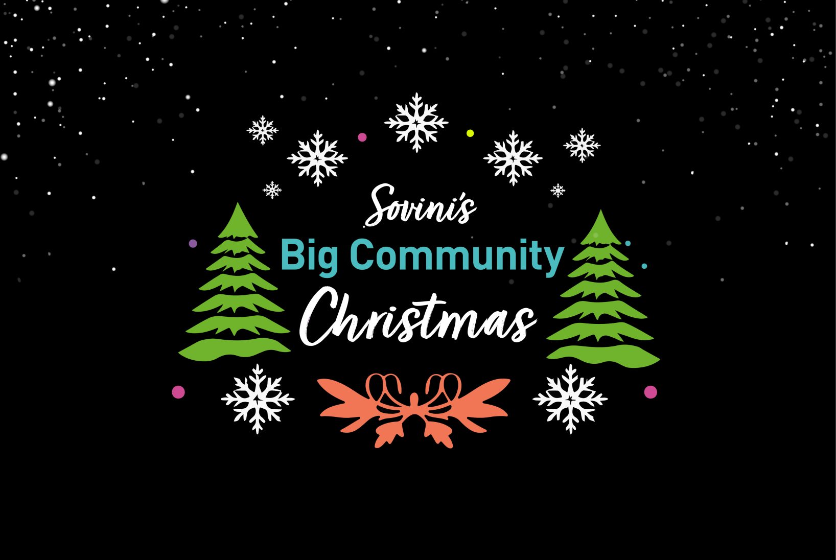Sovini’s Big Community Christmas - The Sovini Group